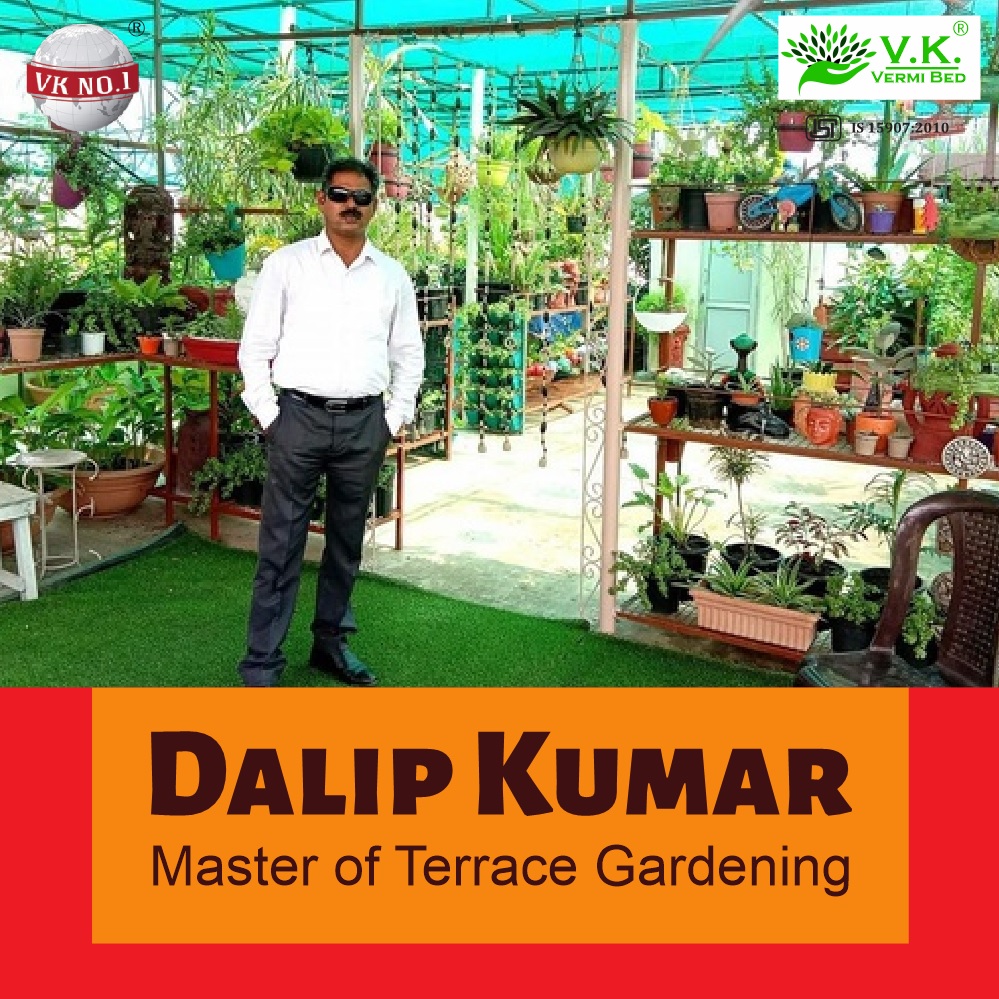 V K Sarvottam HDPE Terrrace Garden Grow Bags V K Sarvottam HDPE Terrrace Garden Grow Bags